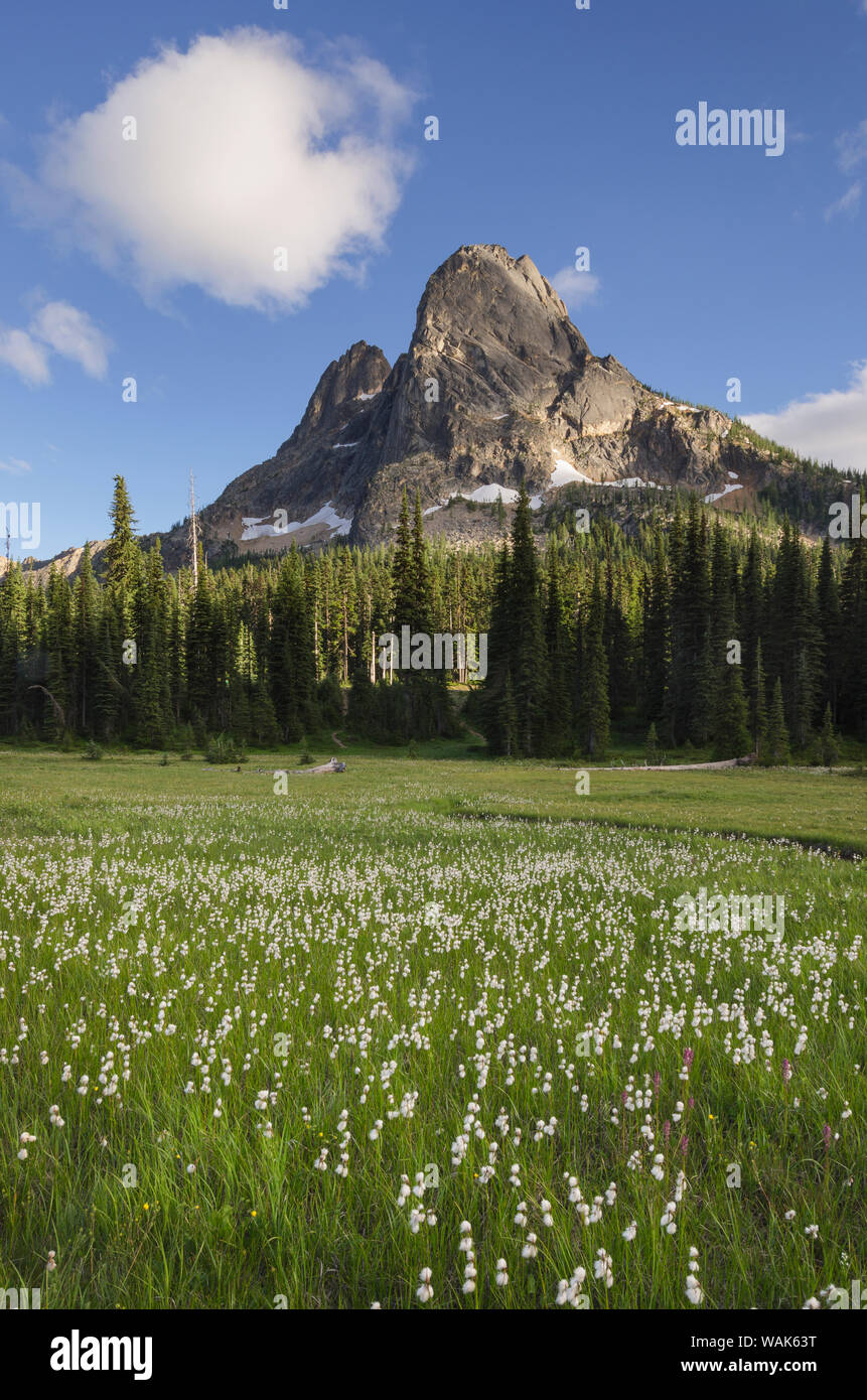 Liberty Bell Mountain seen from green meadows of, Washington Pass ...
