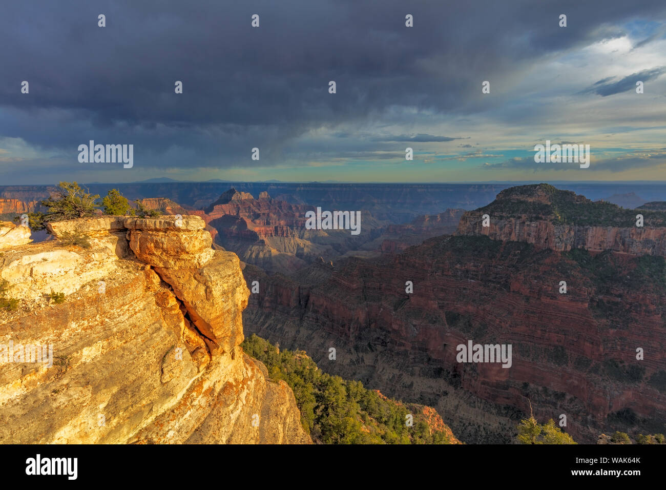 View from Bright Angel Point on the North Rim of Grand Canyon National ...