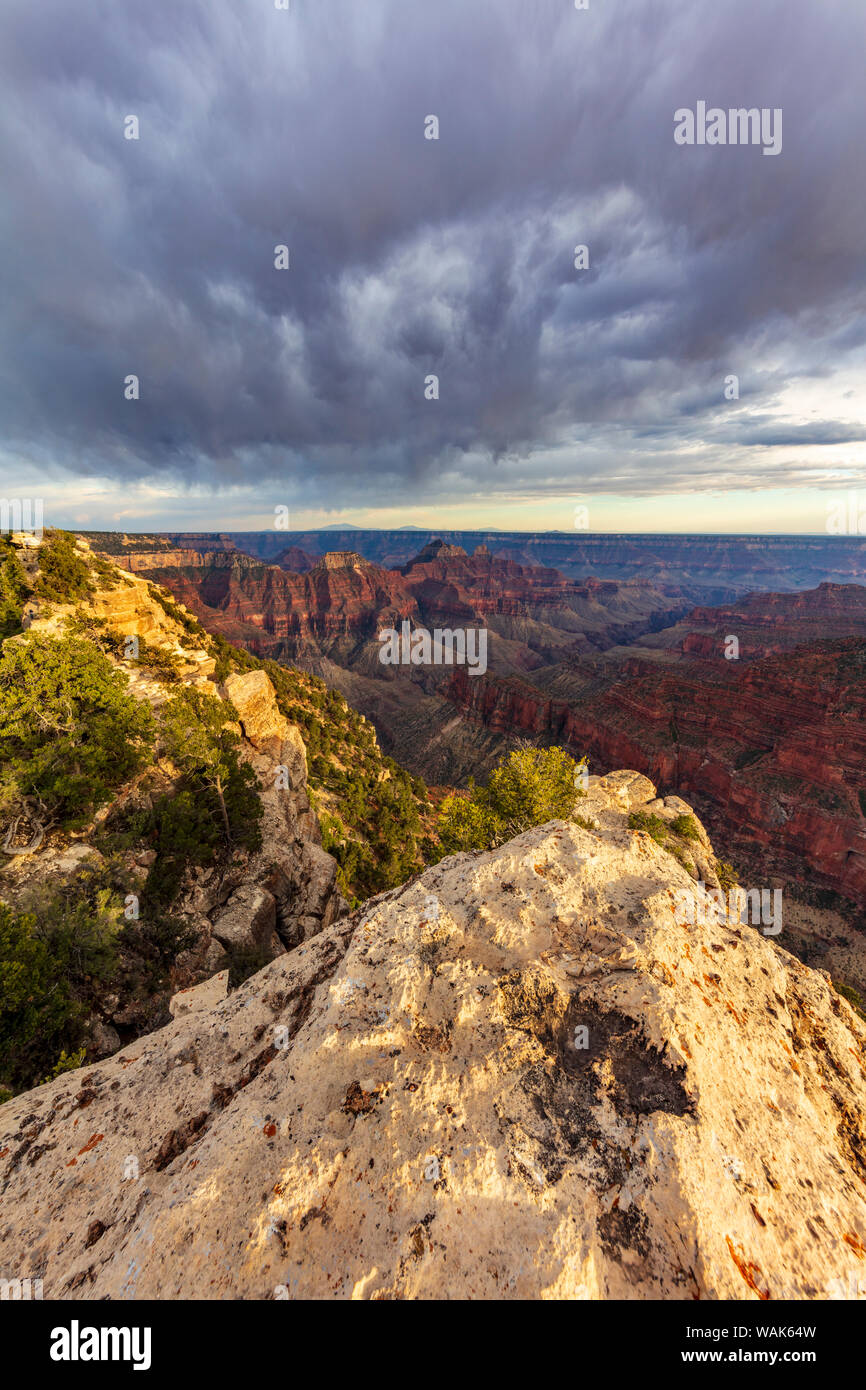 View from Bright Angel Point on the North Rim of Grand Canyon National ...
