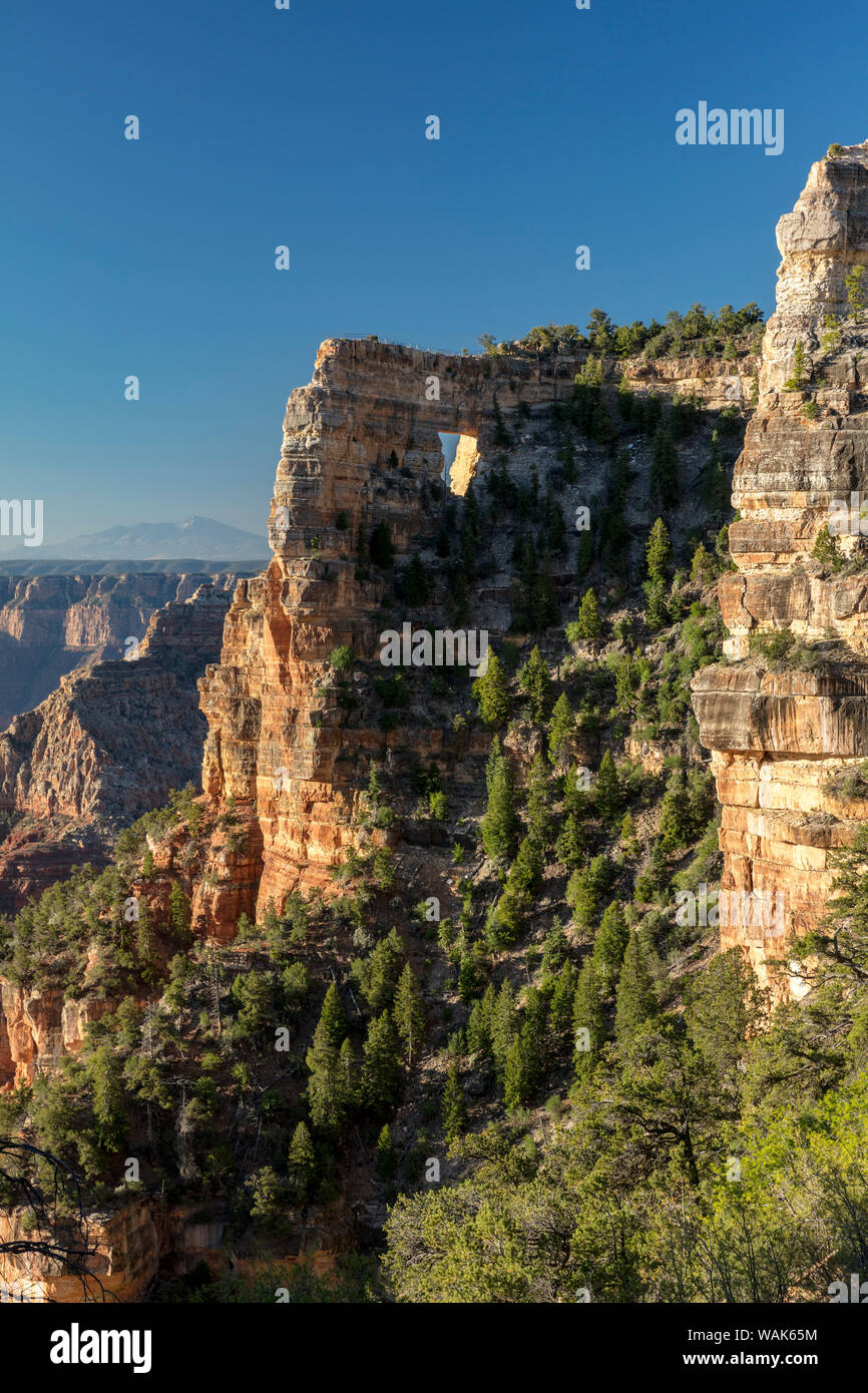 Angels Window at Cape Royal on the North Rim in Grand Canyon National ...