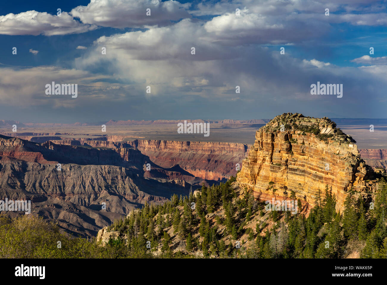 Tritle hi-res stock photography and images - Alamy