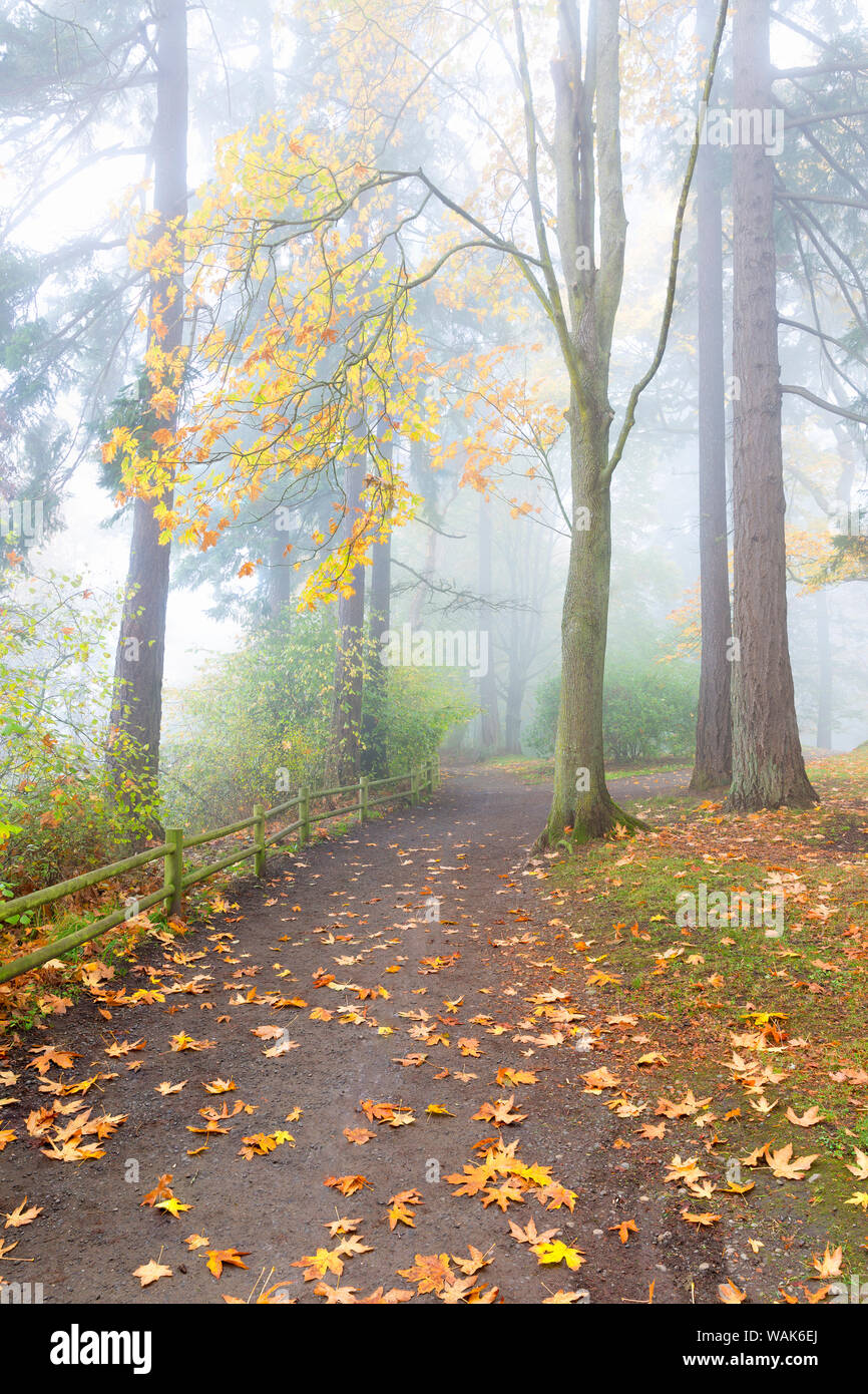 Seattle washington fall foliage hi-res stock photography and images - Alamy