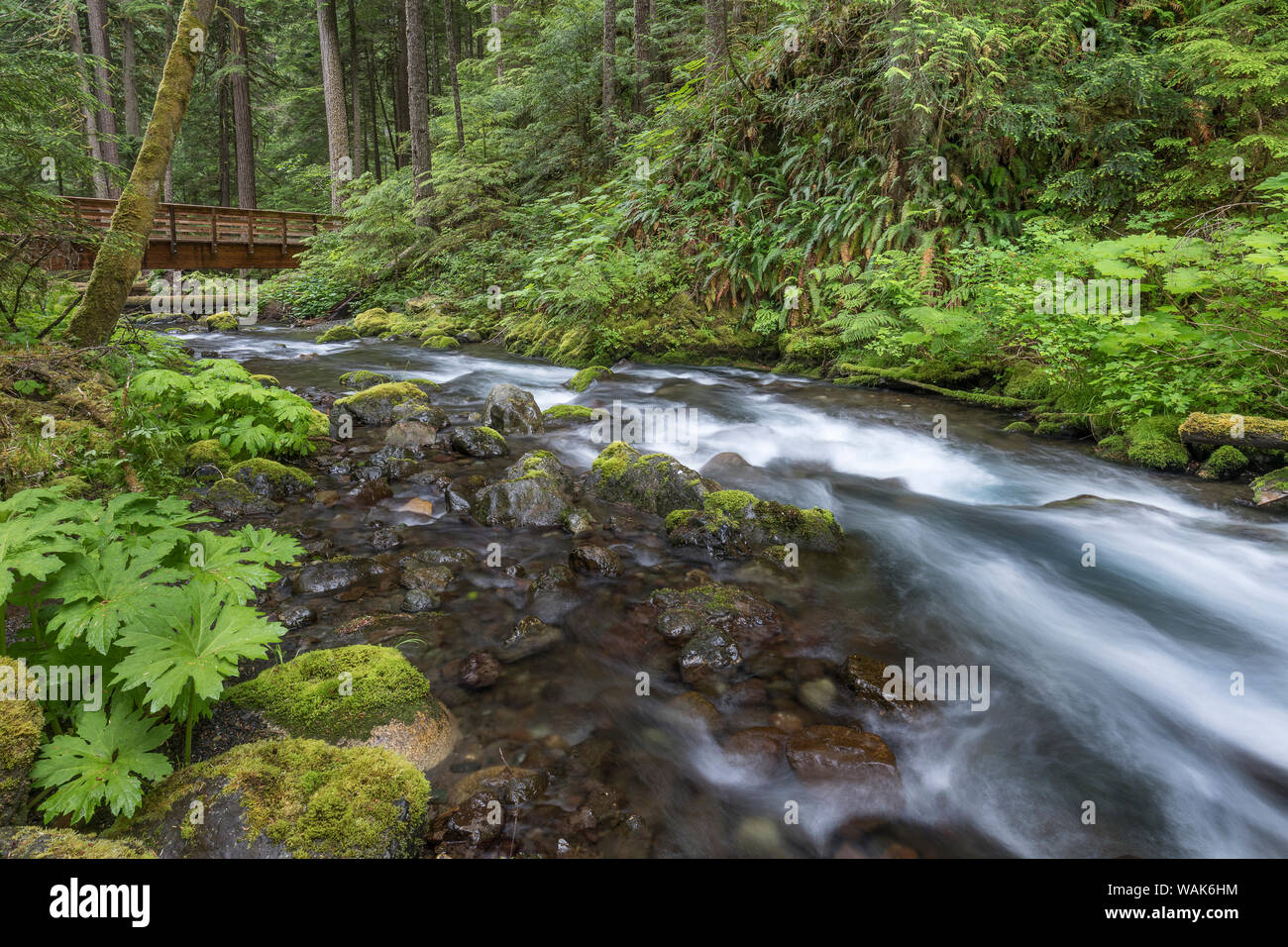 Quilcene hi-res stock photography and images - Alamy