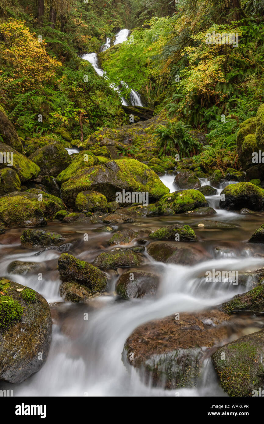 Bunch of flow hi-res stock photography and images - Alamy