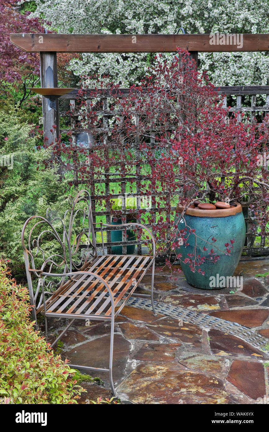 Wooden screen, bench and potted smoke bush with deer proof shrubs and ...