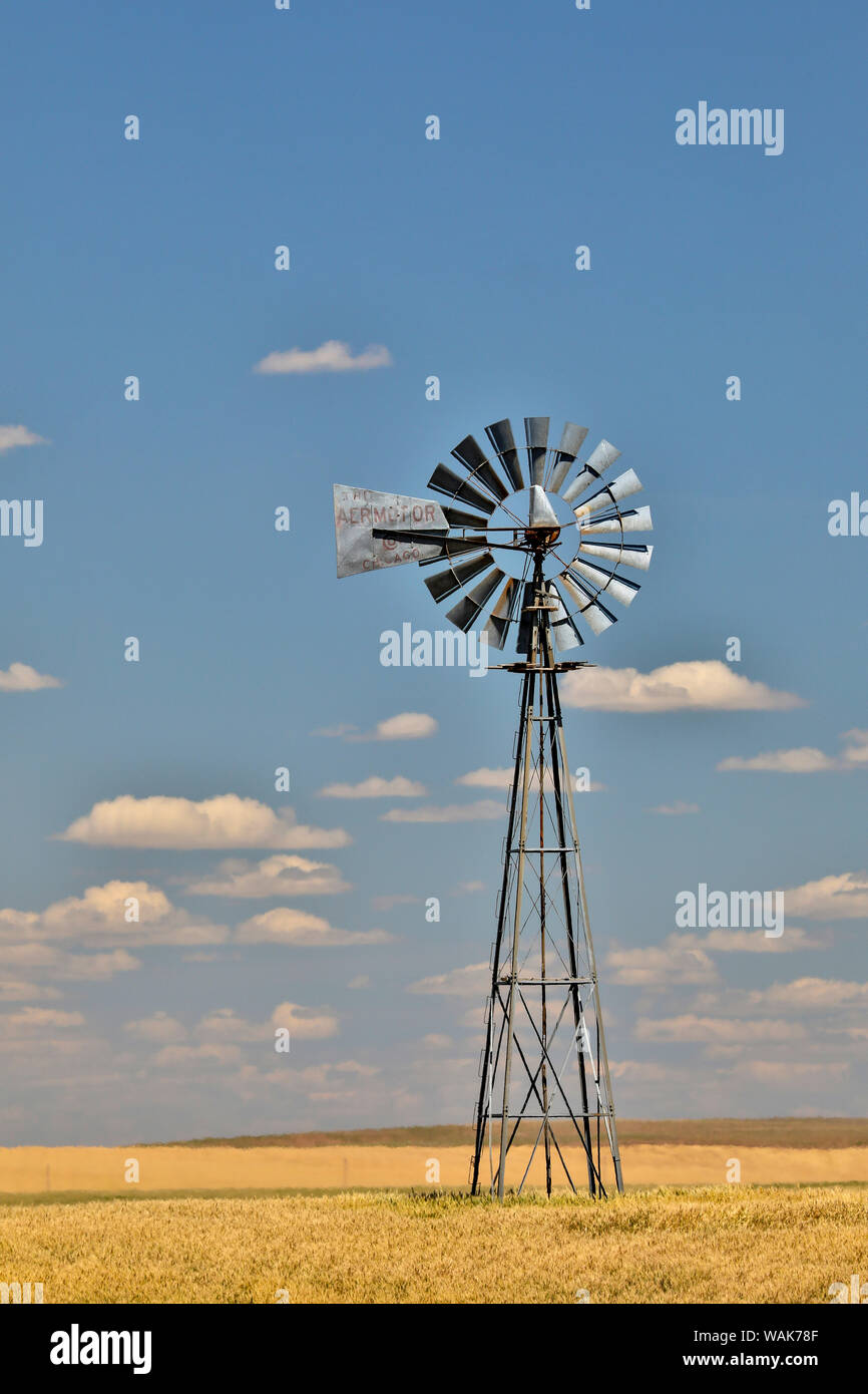 Eastern field hi-res stock photography and images - Alamy