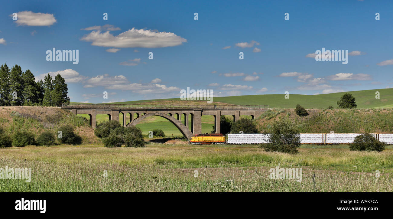 Train going under concrete bridge, Rosalia, Eastern Washington Stock ...