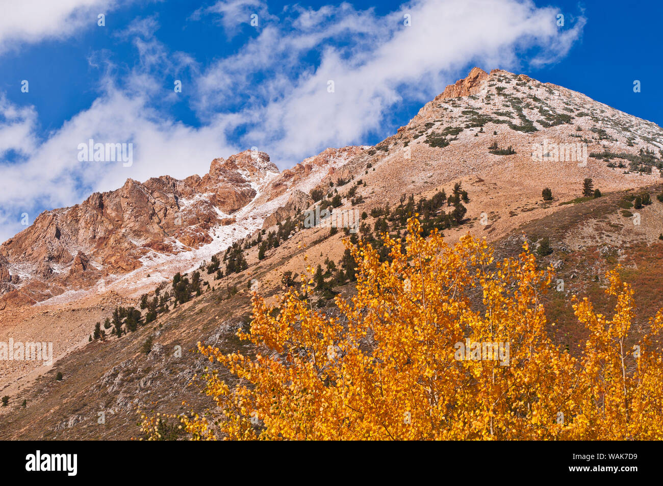 Fall color and early snow above North Lake, Inyo National Forest ...