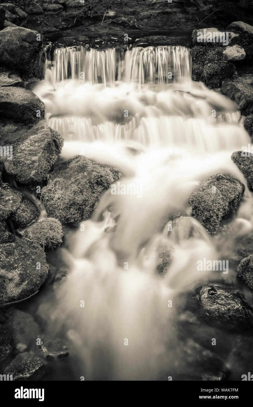 Fern Spring, Yosemite National Park, California, USA Stock Photo - Alamy