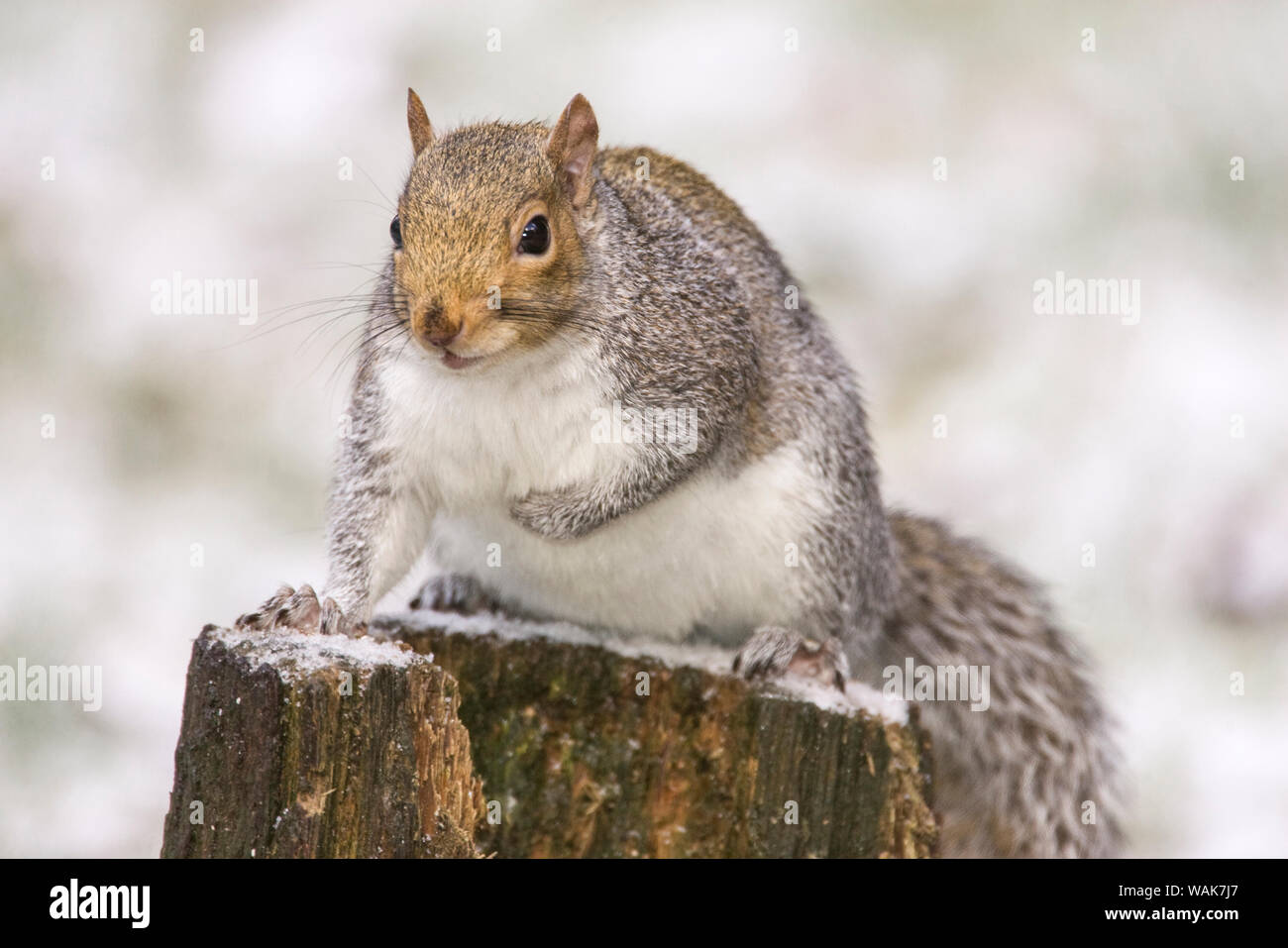 Cold look hi-res stock photography and images - Alamy