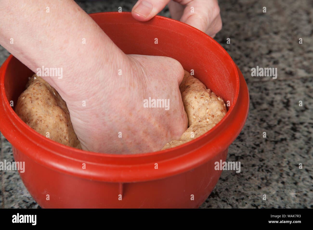 Woman punching down multigrain bread dough. (MR Stock Photo - Alamy