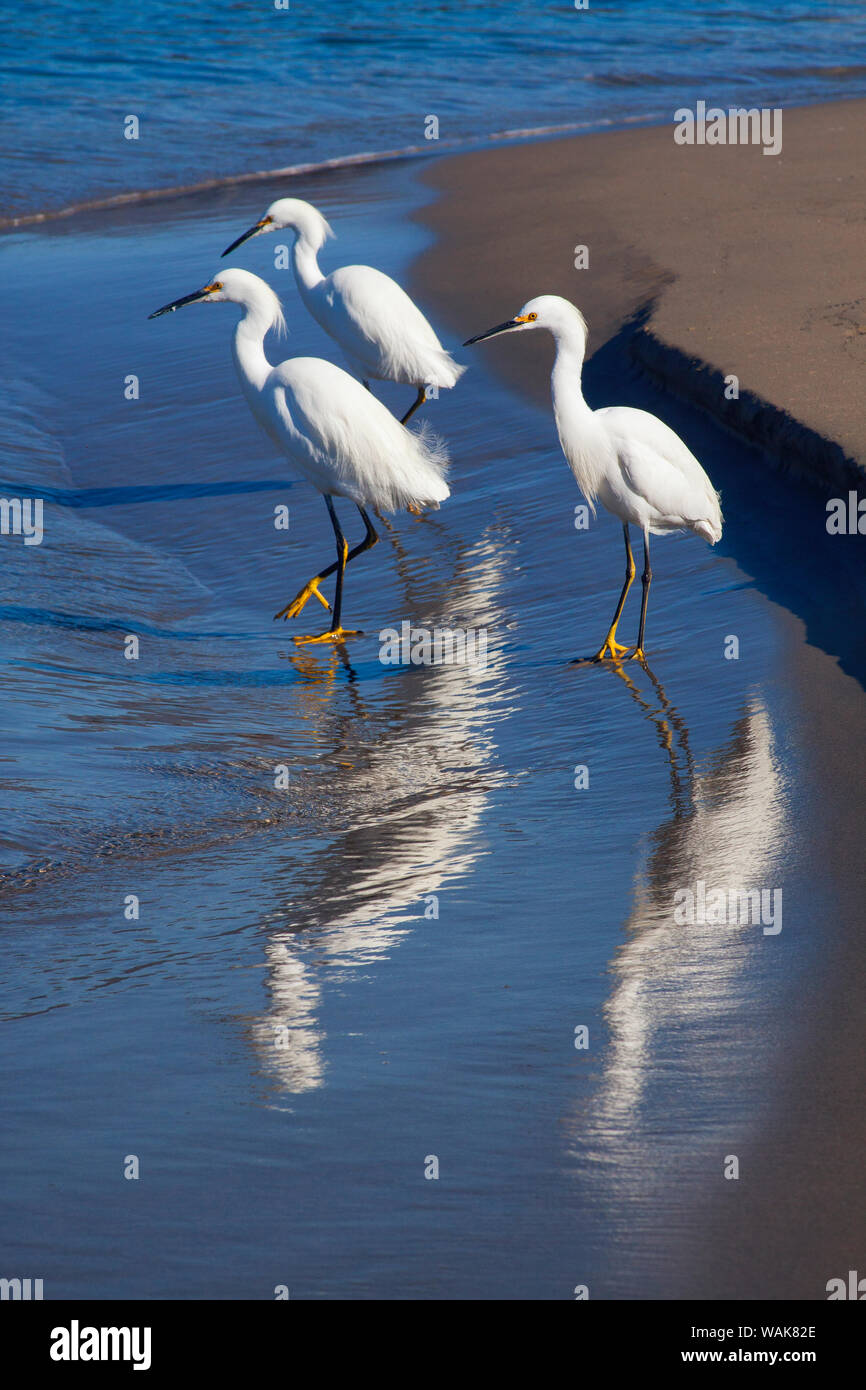 Santa barbara breakwater hi-res stock photography and images - Alamy