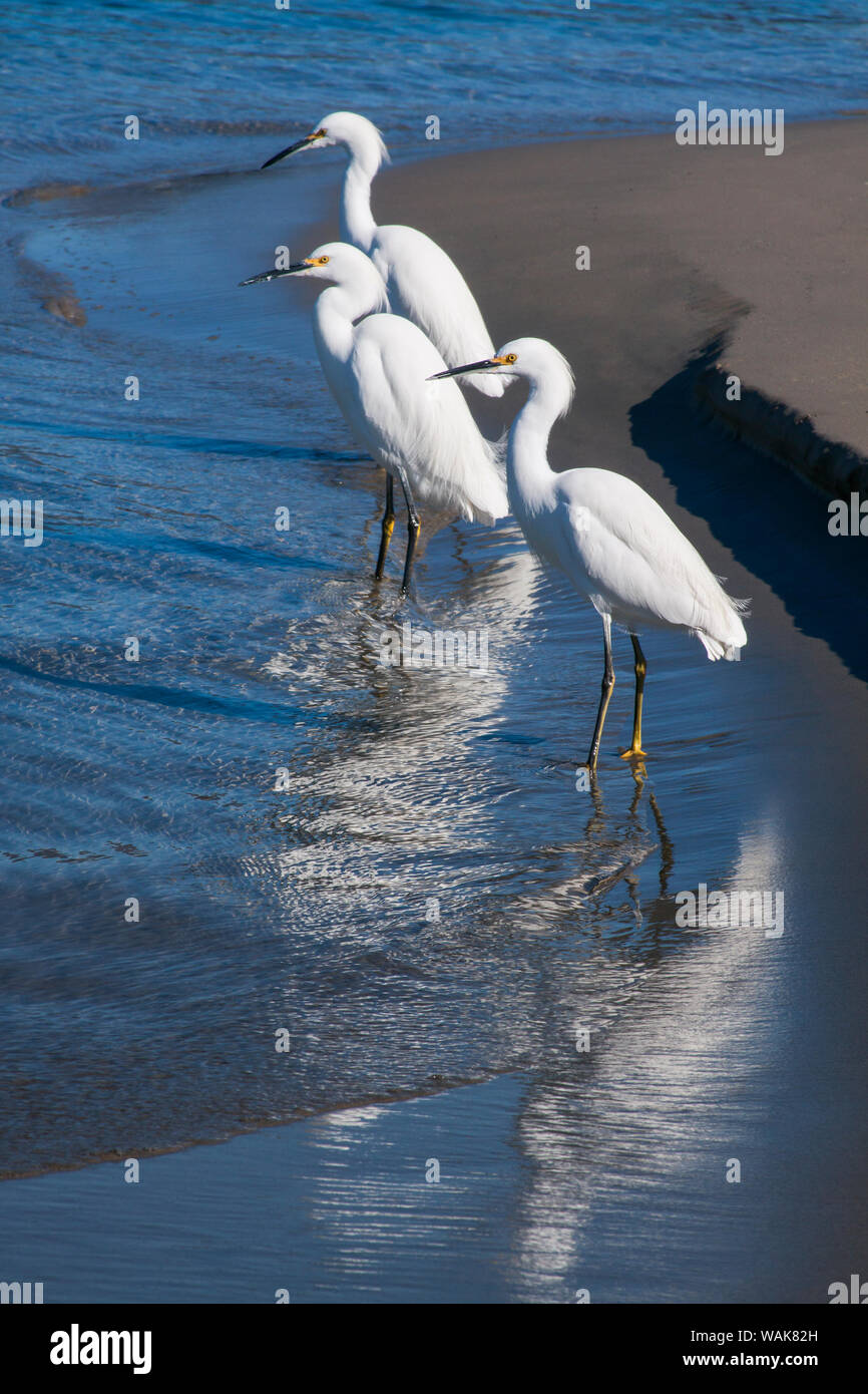 Santa barbara breakwater hi-res stock photography and images - Alamy
