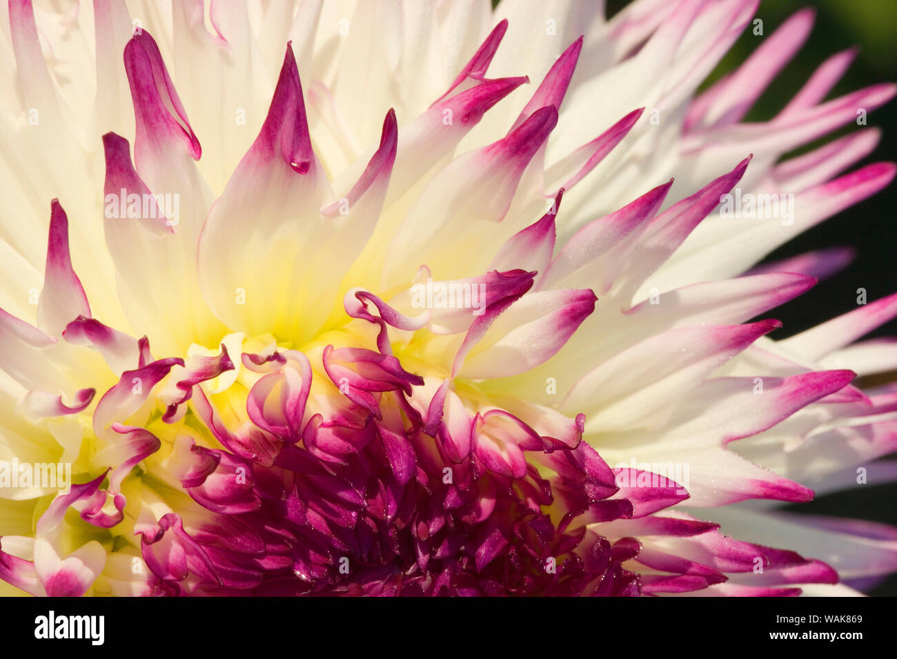 Anna Mari High Resolution Stock Photography and Images - Alamy