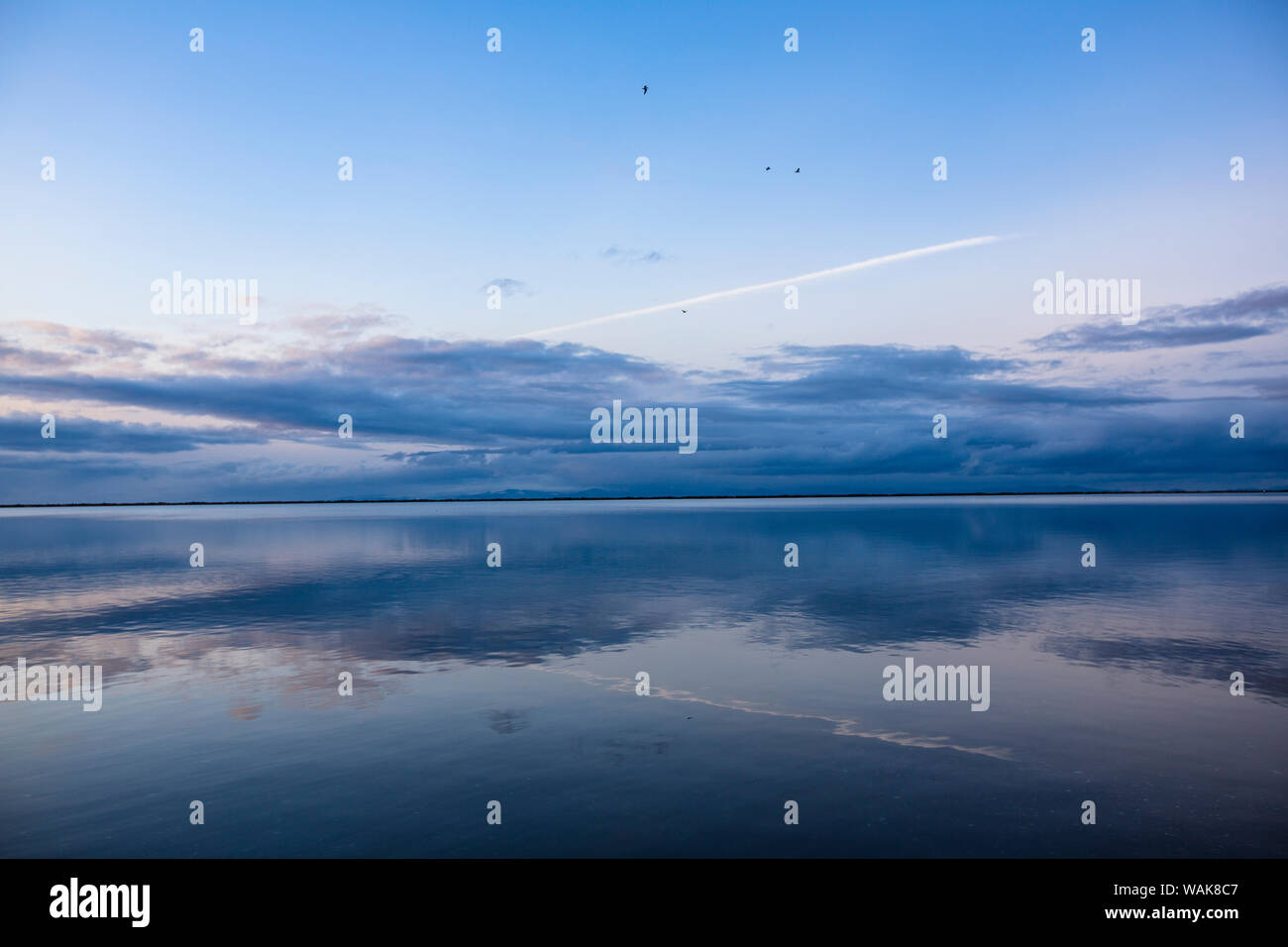 Strait of puget hi-res stock photography and images - Alamy