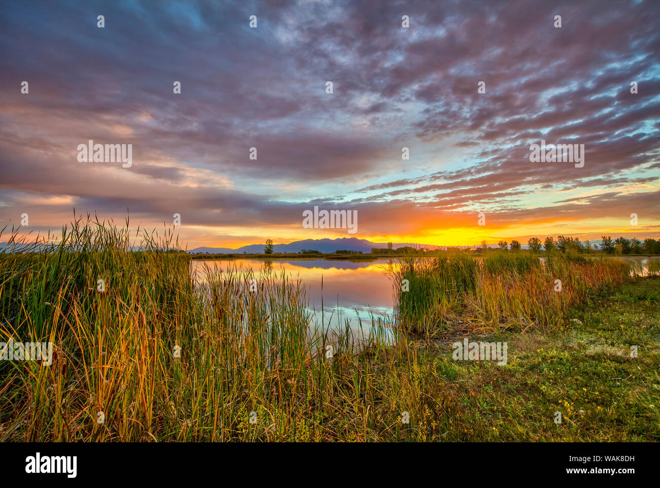 Lord lake hi-res stock photography and images - Alamy
