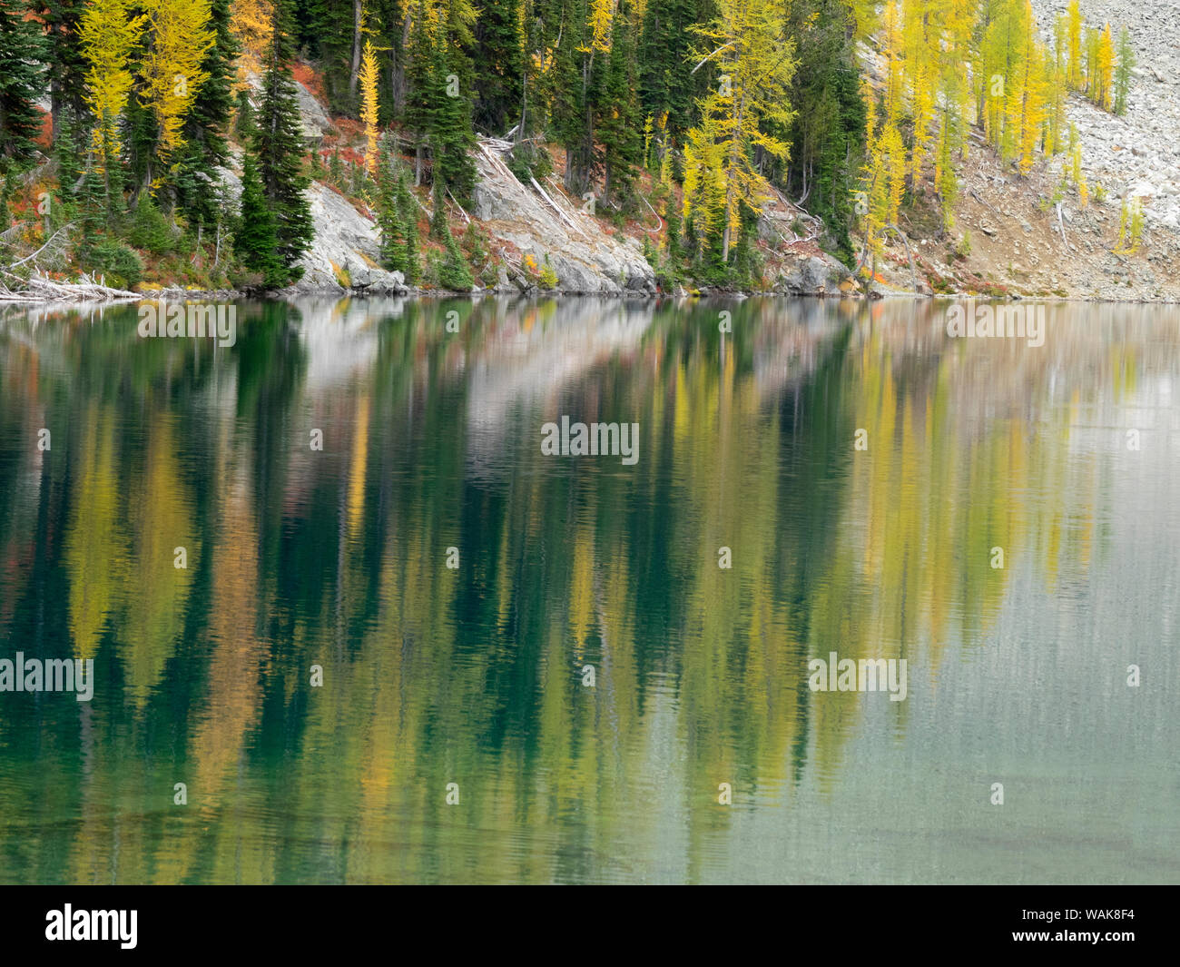 USA, Washington State. Okanogan-Wenatchee National Forest, Reflections ...