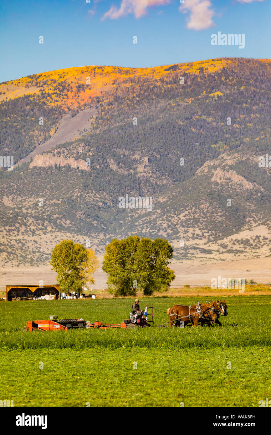 Amish farmer hi-res stock photography and images - Alamy
