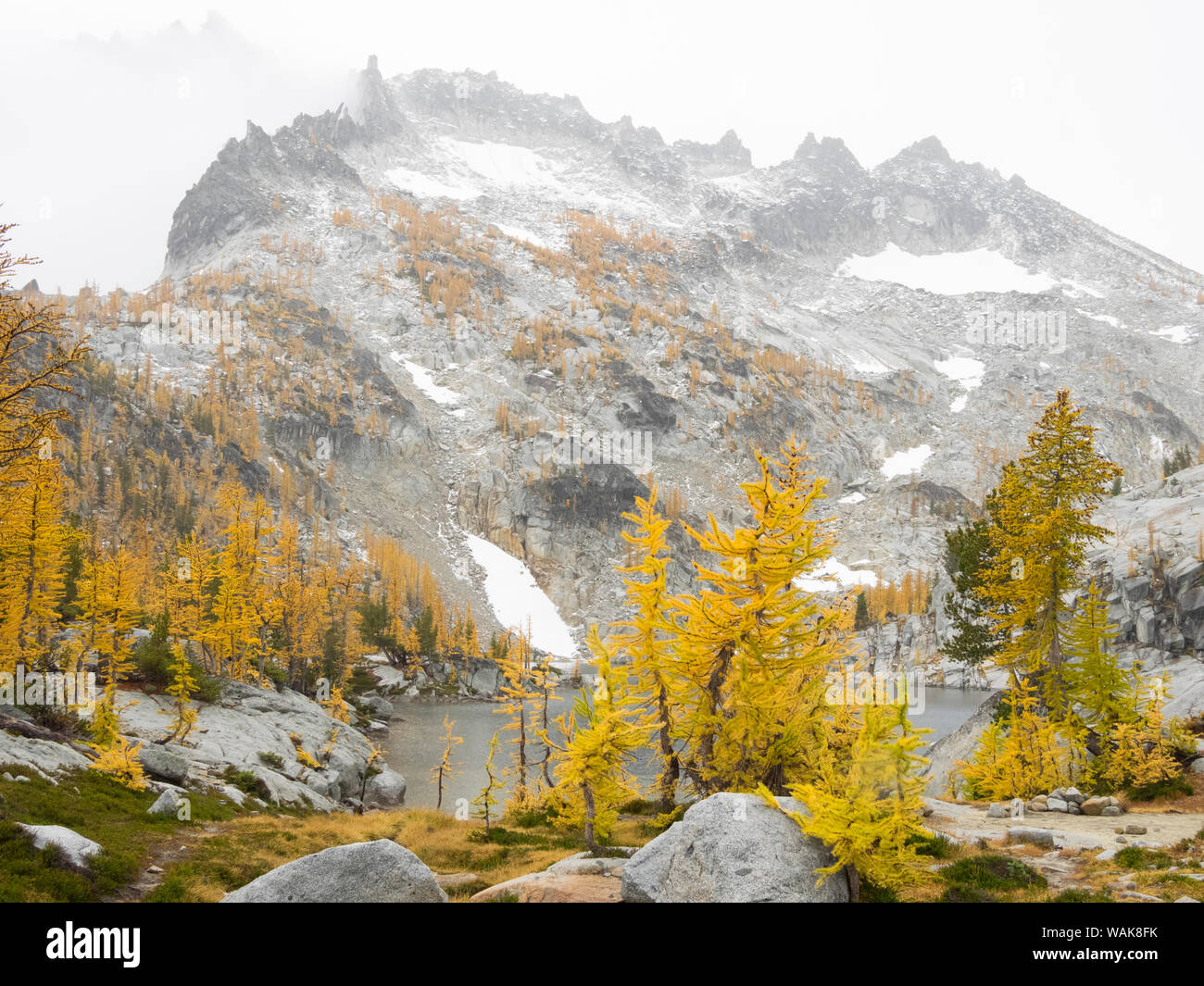 USA, Washington State. Alpine Lakes Wilderness, Enchantment Lakes ...