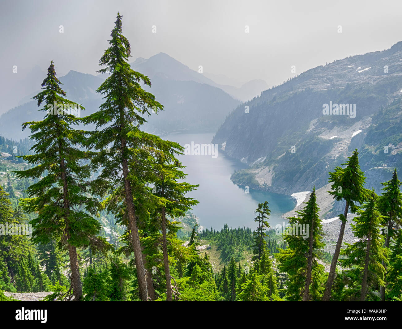 Washington state forest fire hi-res stock photography and images - Alamy