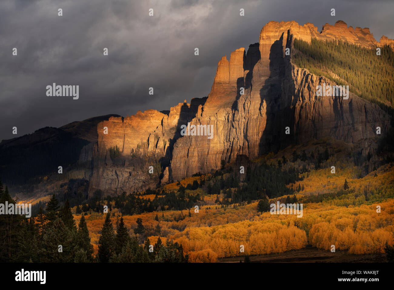 Formation of a com hi-res stock photography and images - Alamy