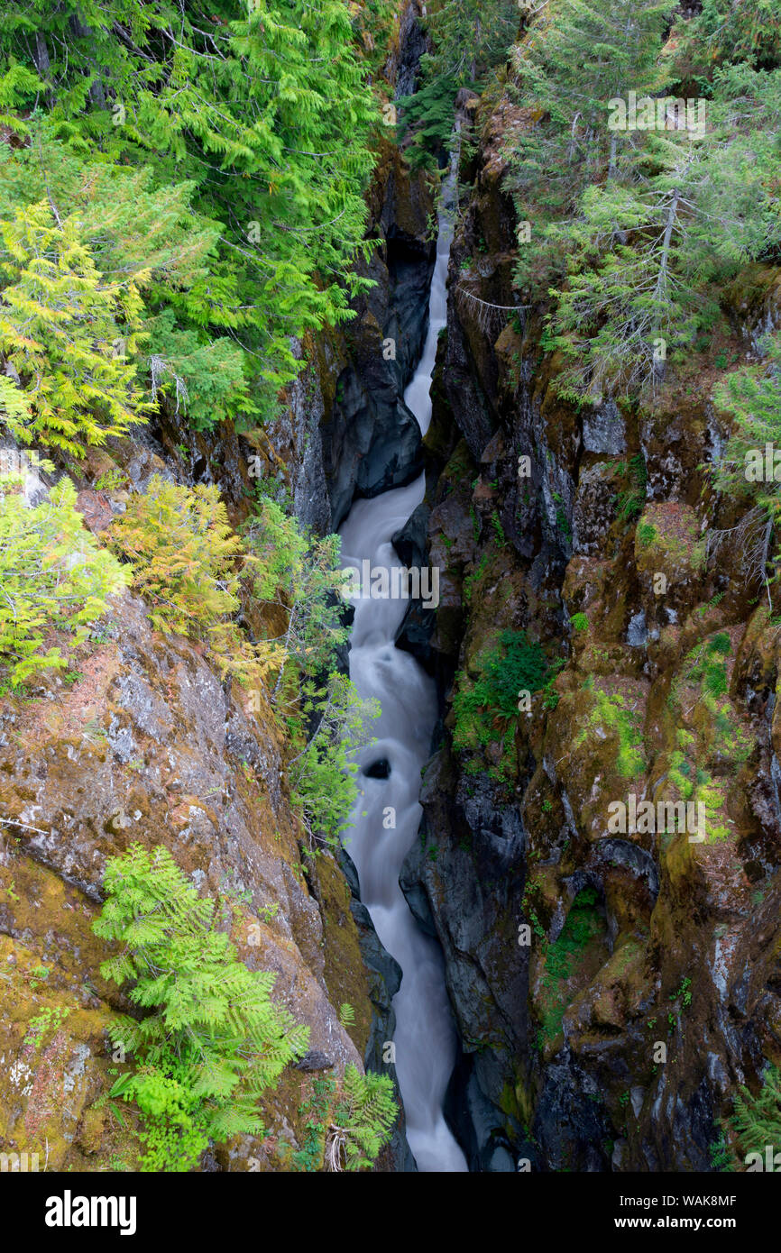 Cowlitz river hi-res stock photography and images - Alamy