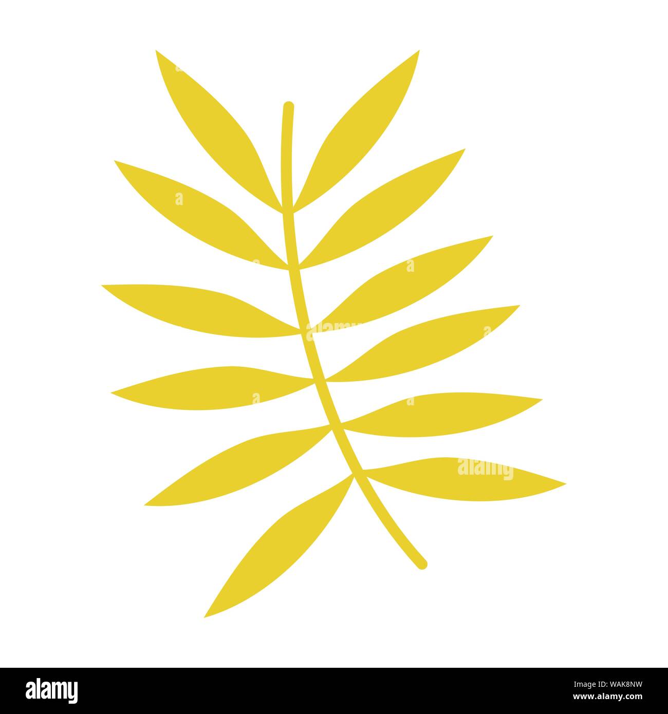 Leaf design, Plant floral garden nature decoration ornament and season ...