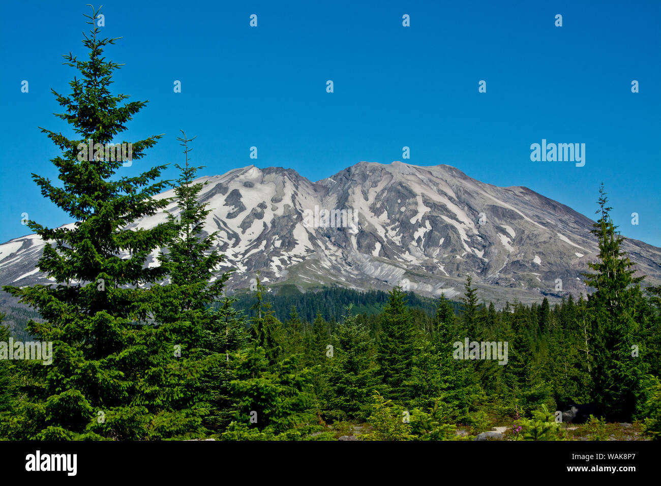 Lahar Area, south side of Mount St. Helens National Volcanic Monument ...