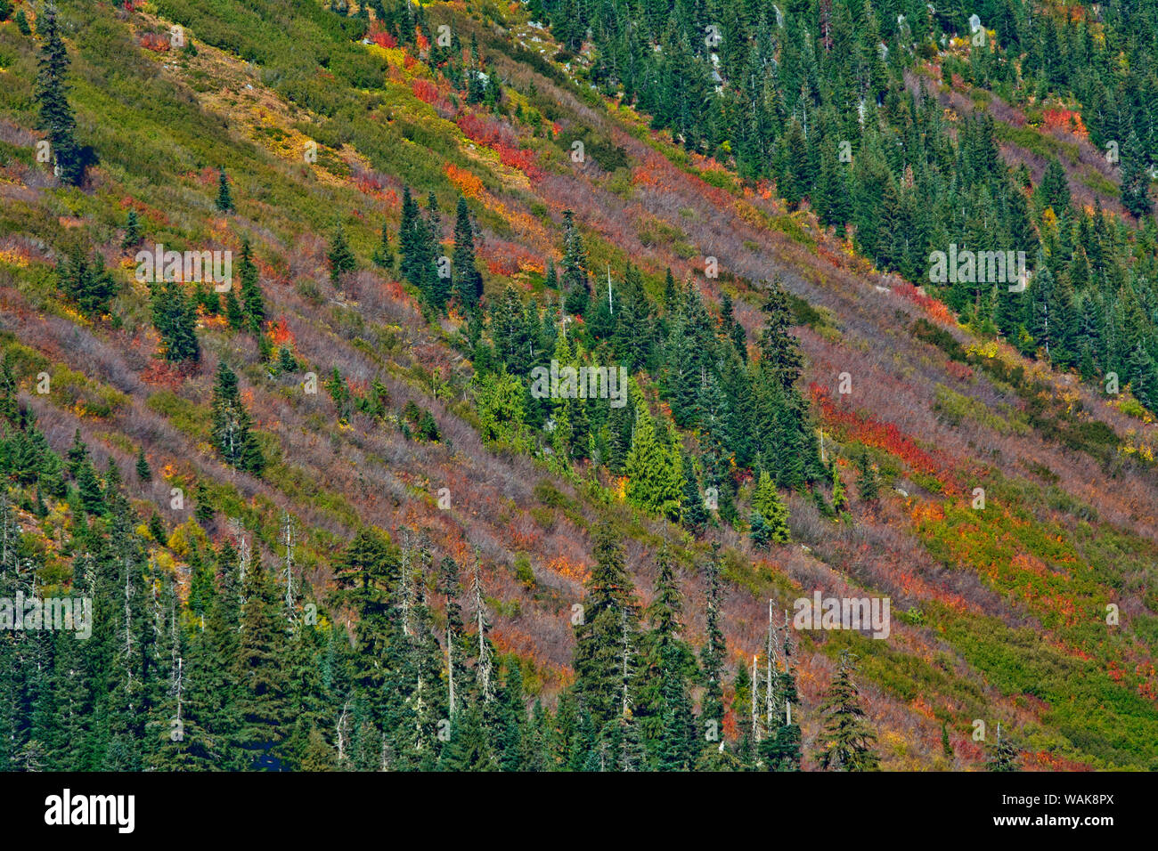 Stevens pass washington state hi-res stock photography and images - Alamy