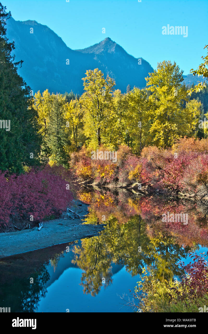 Fall foliage, White River Area, Wenatchee National Forest, Washington ...