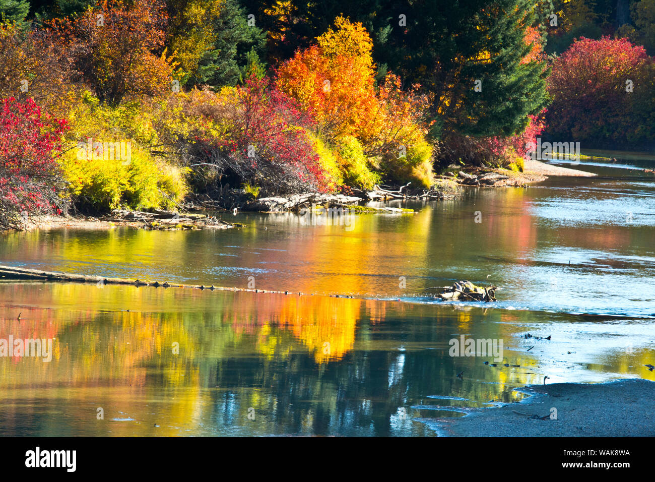 Fall foliage, White River Area, Wenatchee National Forest, Washington ...