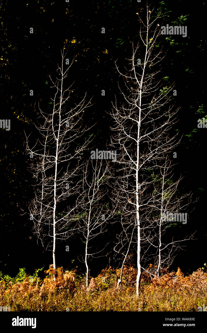 Denuded High Resolution Stock Photography and Images - Alamy