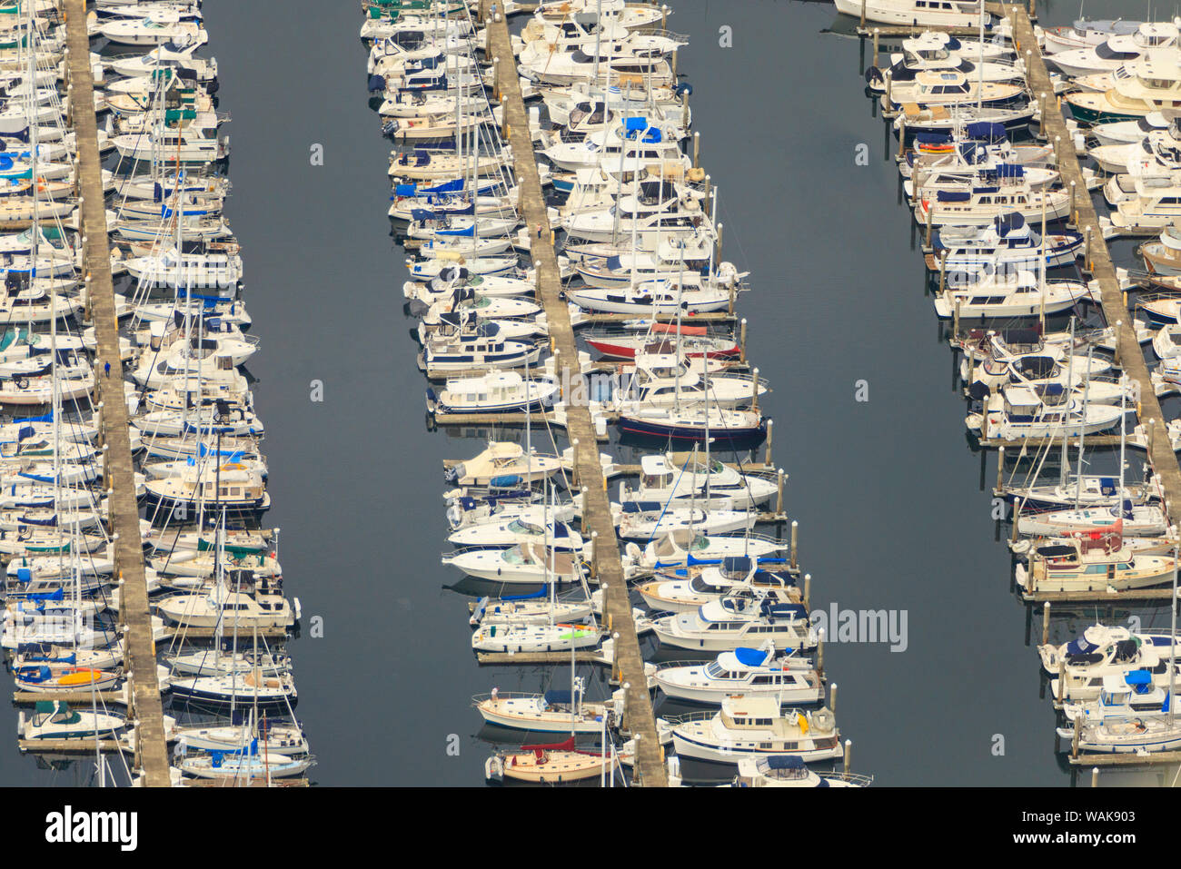 Aerial view of Shilshole Marina, Ballard area, Seattle, Washington ...