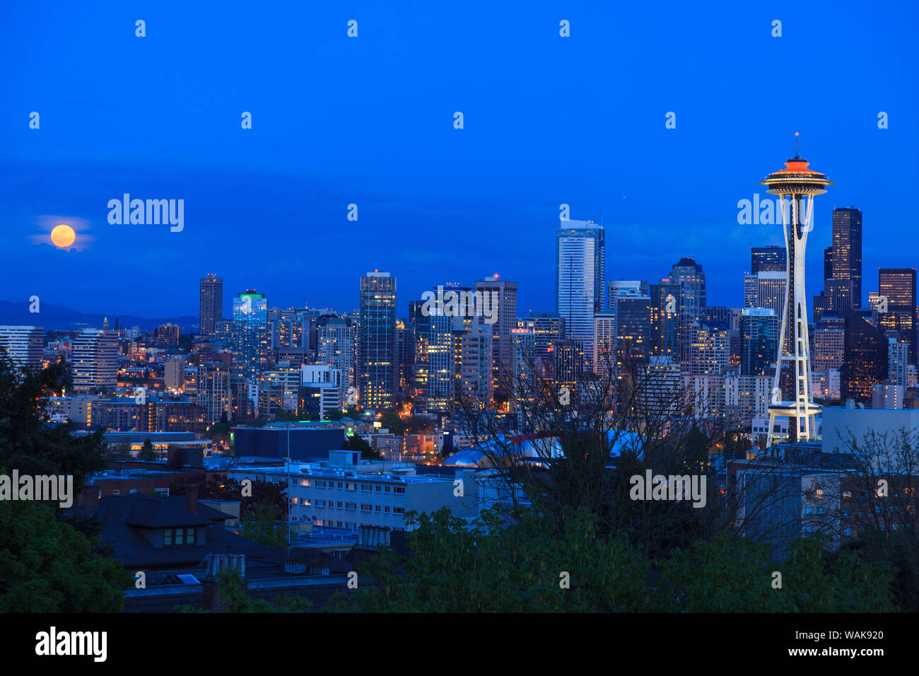 2012 skyline view of the Seattle skyline with the Space Needle roof ...