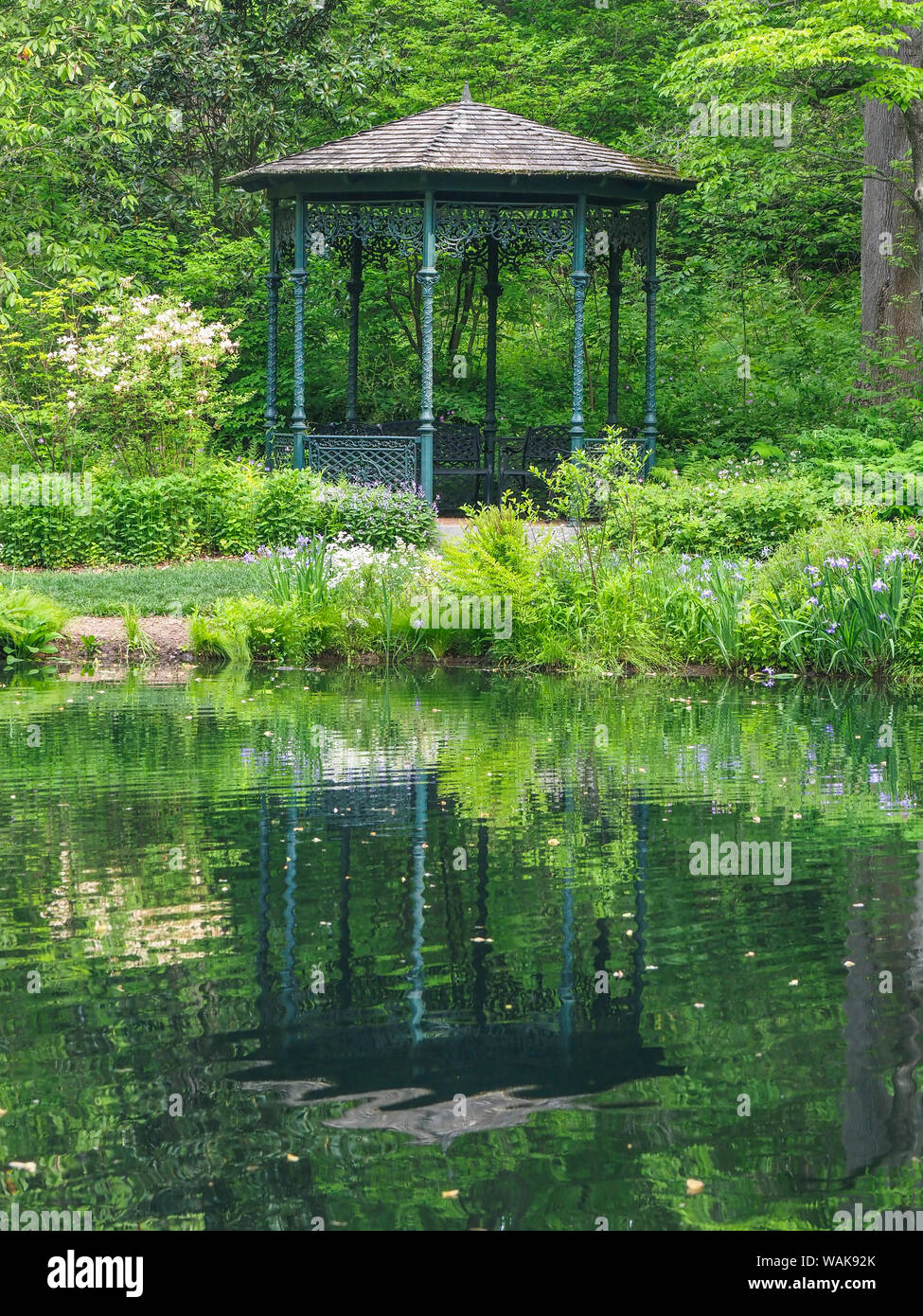 Tree overlooking pond hi-res stock photography and images - Alamy