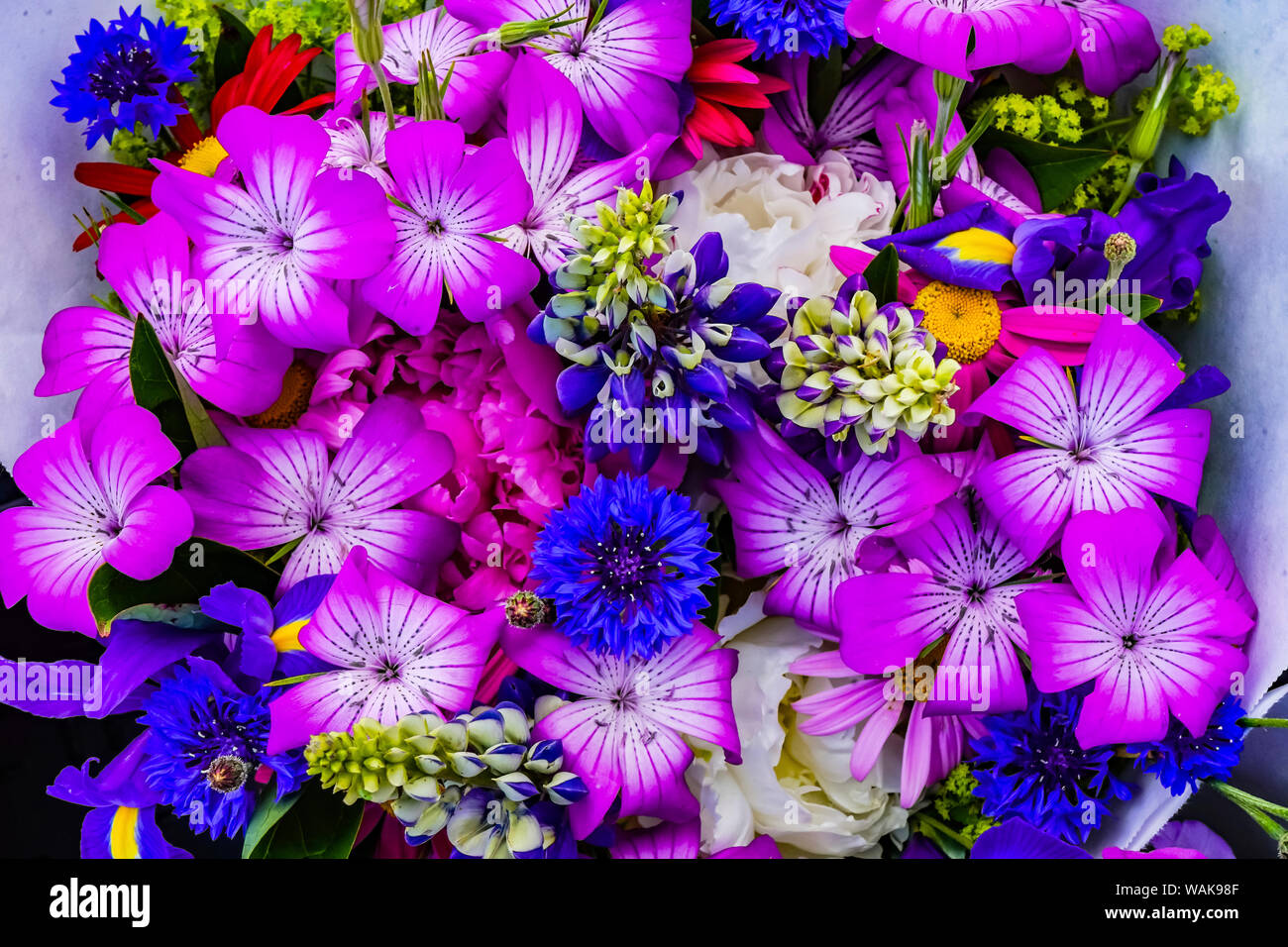 Purple geraniums, blue corn flower bouquet Stock Photo - Alamy