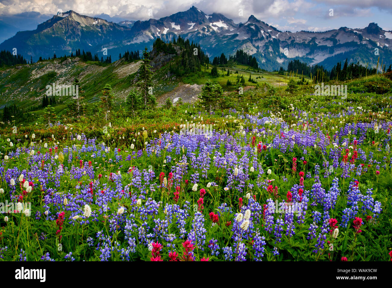 Washington State Nature Wallpaper