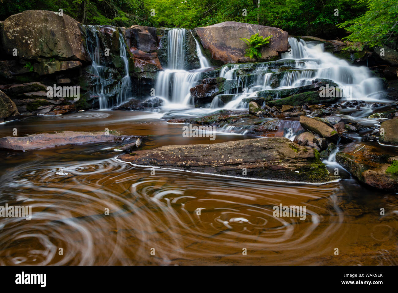 USA, West Virginia, Blackwater Falls State Park. Stream cascade and ...