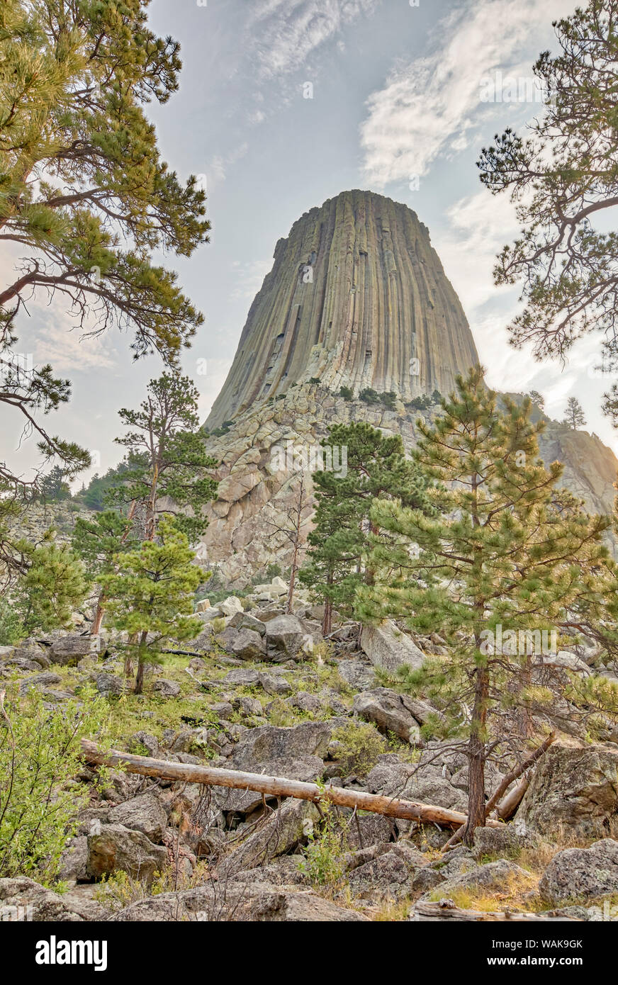 National park devils tower hi-res stock photography and images - Alamy