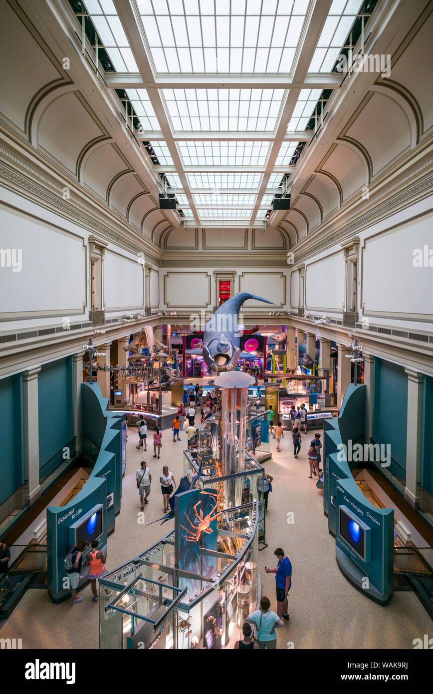 Natural history museum view hi-res stock photography and images - Alamy