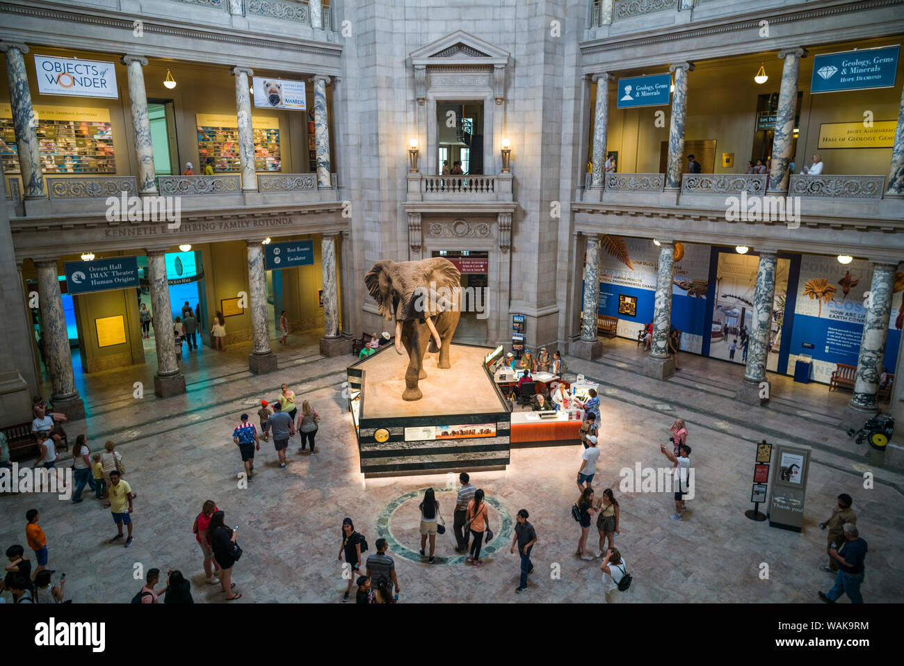USA, Washington D.C. National Museum of Natural History, lobby with ...