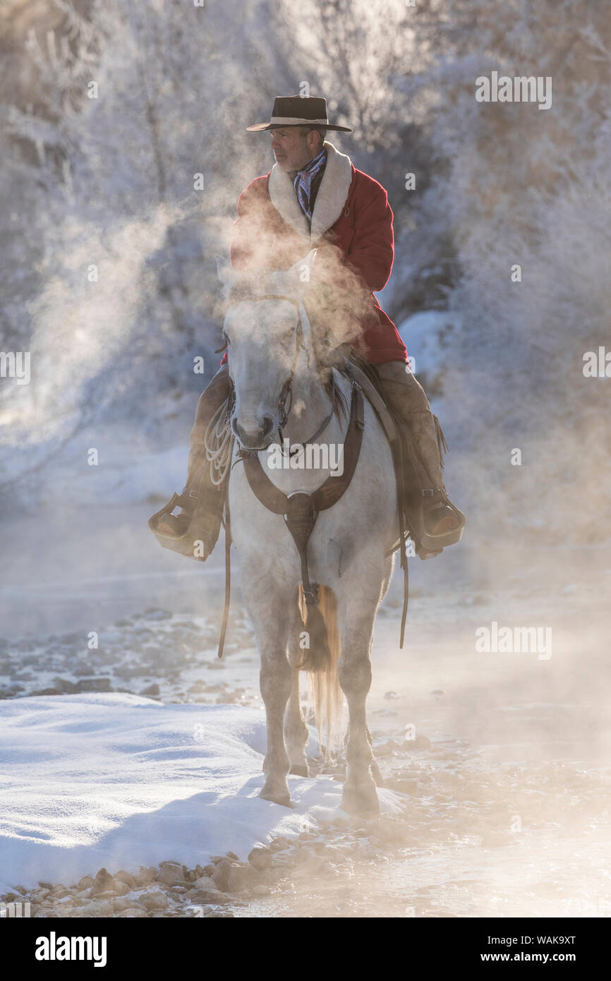 Horse drive in winter on Hideout Ranch, Shell, Wyoming. Cowboy on ...