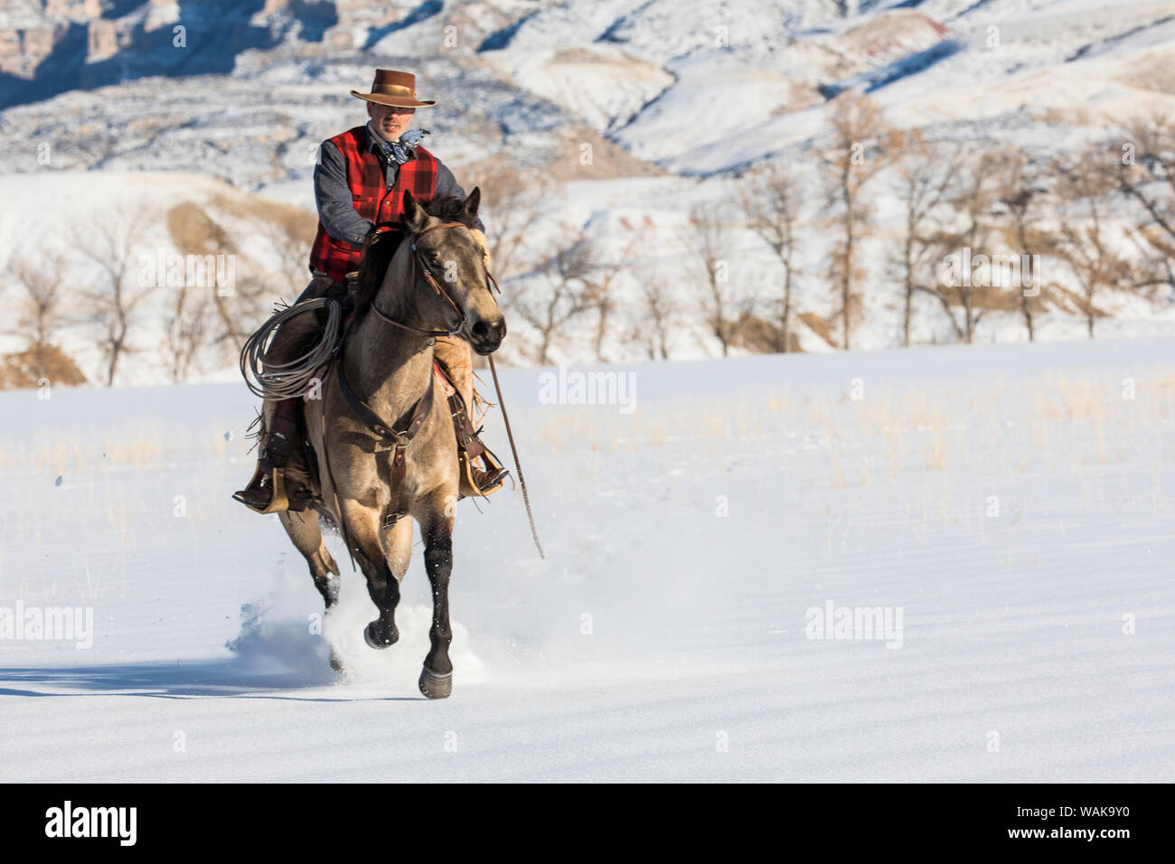Horse drive in winter on Hideout Ranch, Shell, Wyoming. Cowboy riding ...