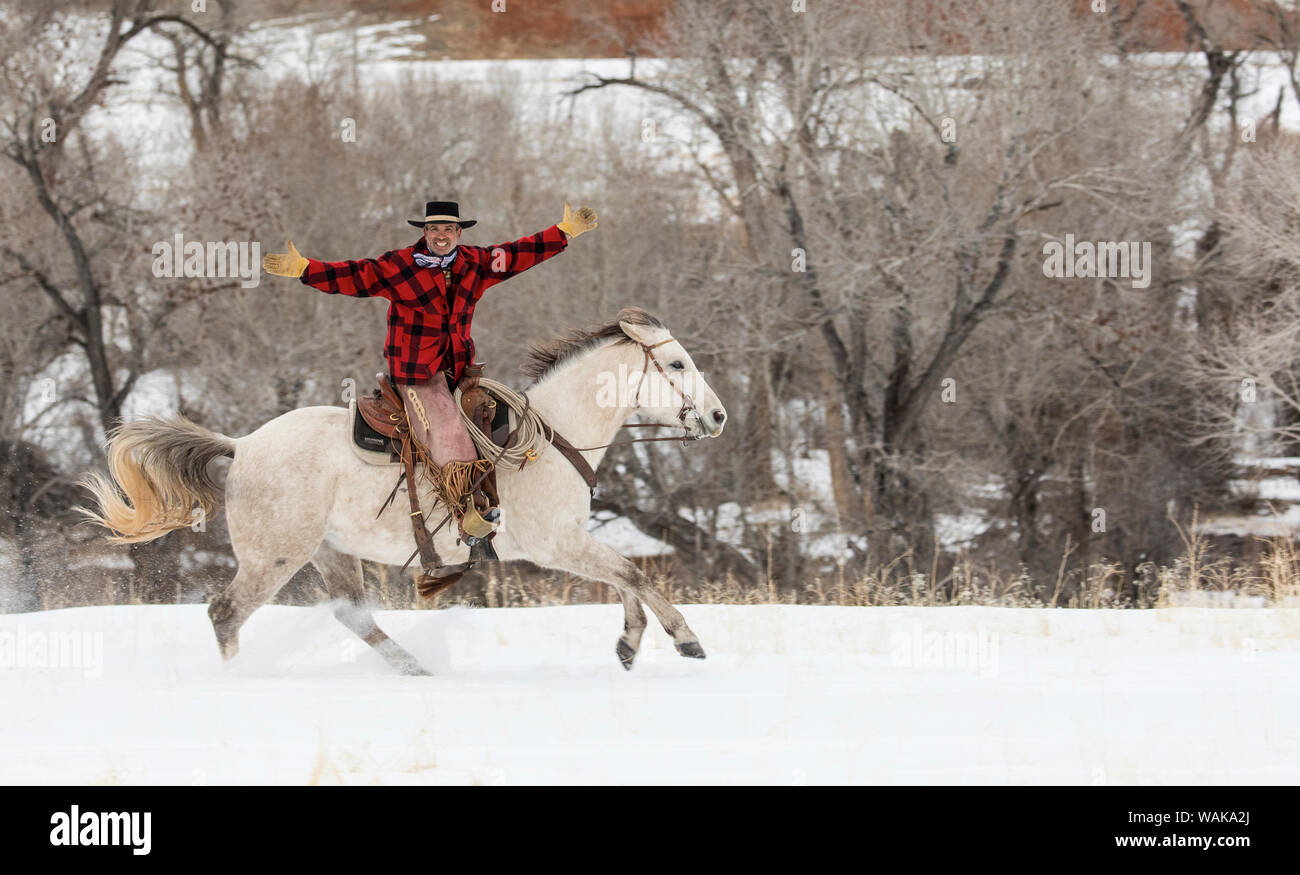Horse drive in winter on Hideout Ranch, Shell, Wyoming. Cowboy riding ...