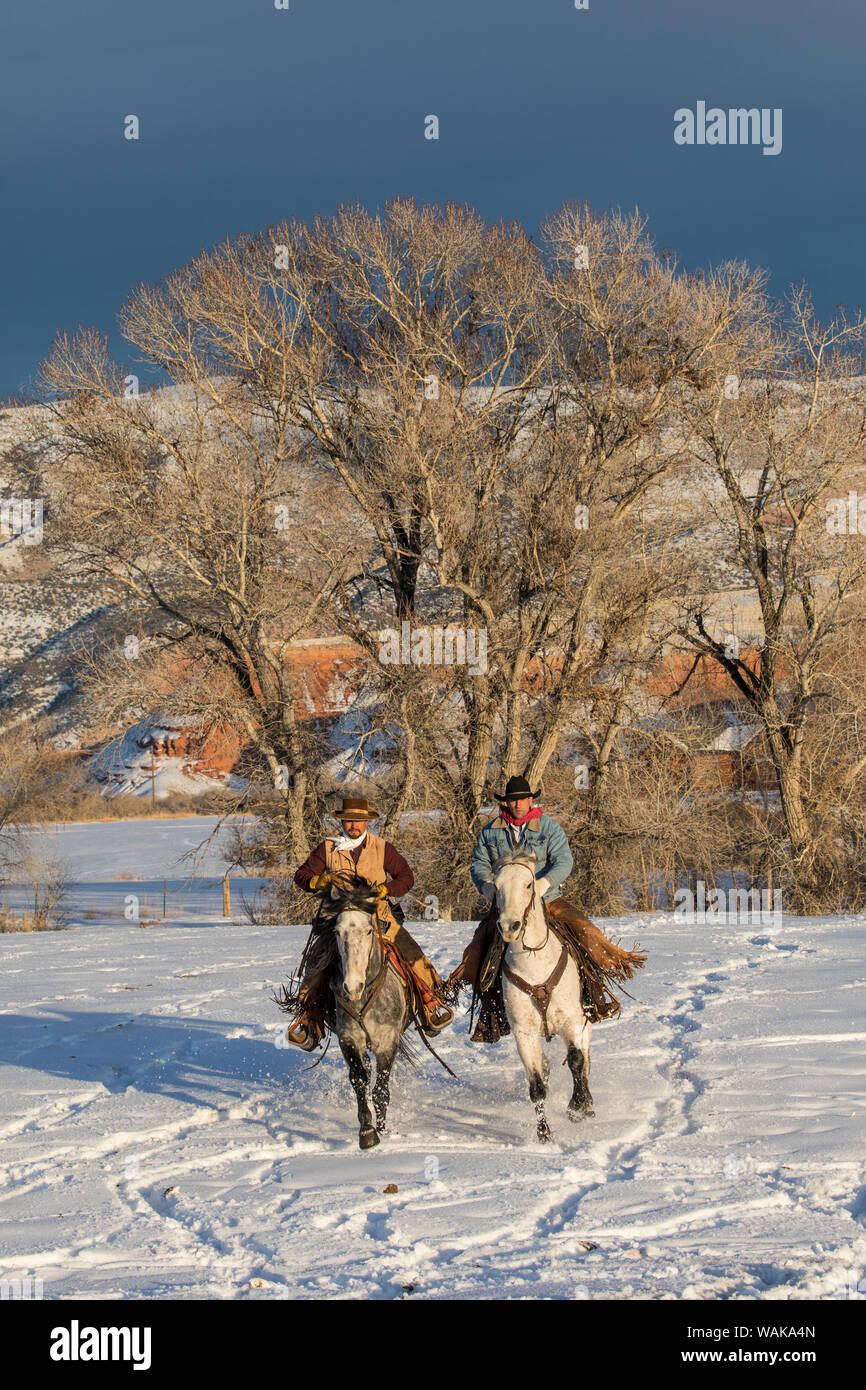 Horse drive in winter on Hideout Ranch, Shell, Wyoming. Pair of cowboys ...