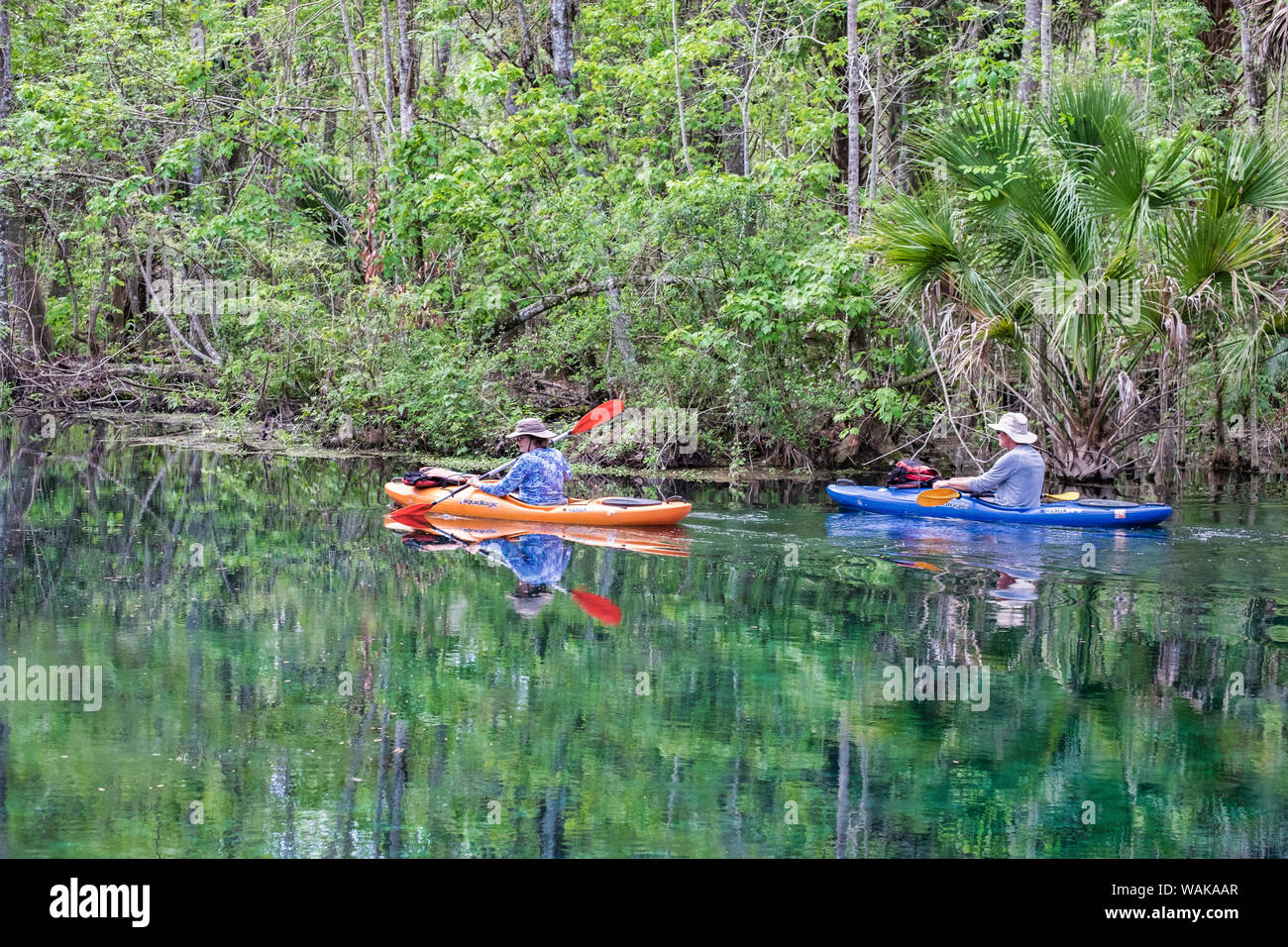 Silver river state park florida hi-res stock photography and images - Alamy