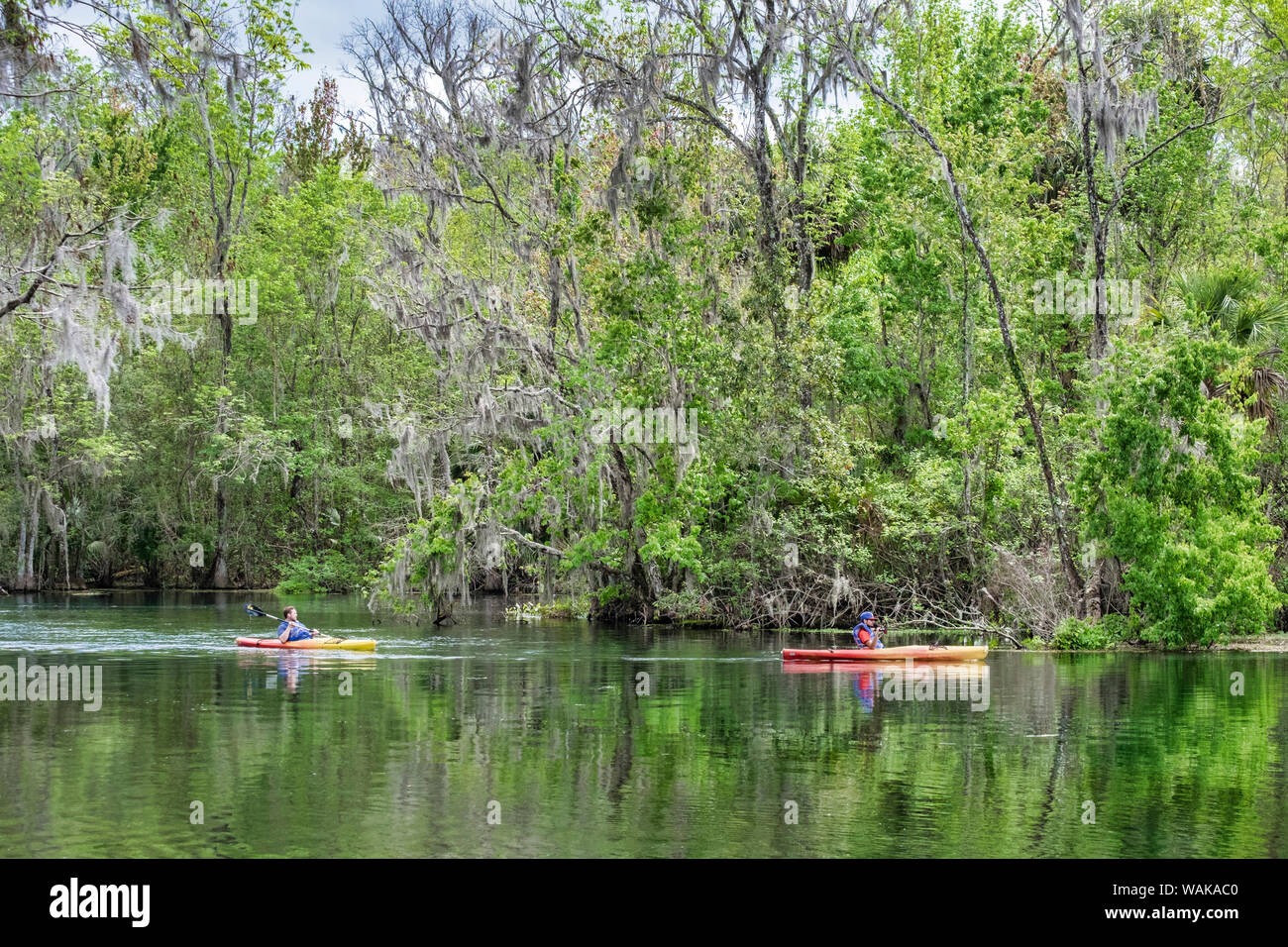 Silver springs state park hi-res stock photography and images - Alamy