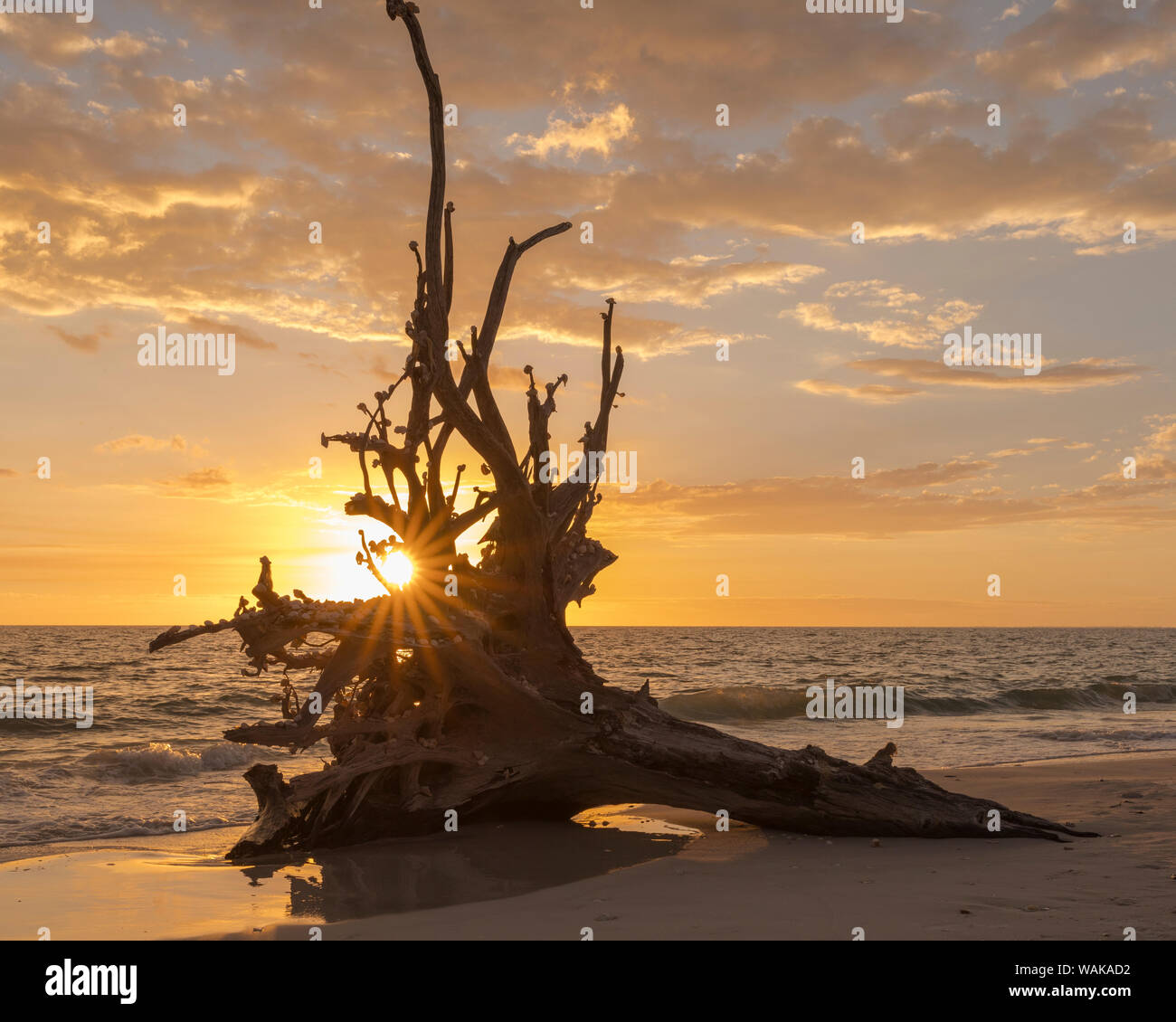 Lovers key state park beach hi-res stock photography and images - Alamy