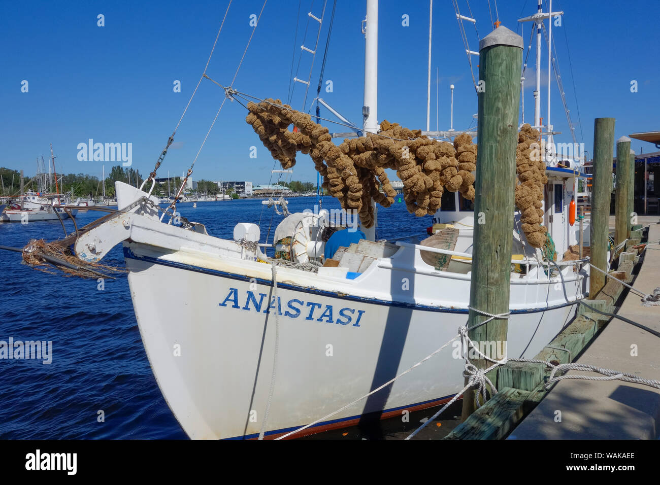 Sponge boat loaded with sponges after fishing Stock Photo - Alamy