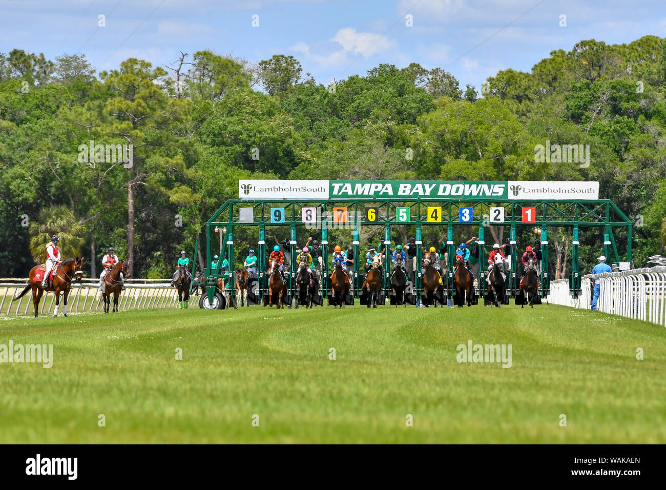 Race horses starting gate hi-res stock photography and images - Alamy